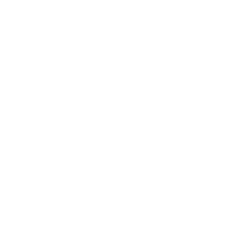 Cangshan Cutlery Australia | TN1 Series 20cm Chef's Knife